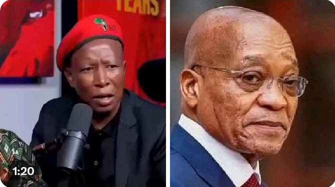EFF Leader Julius Malema Vows to Confront Zuma’s Influence, Declares No ... EFF Leader Julius Malema Vows to Confront Zuma’s Influence, Declares No ...
